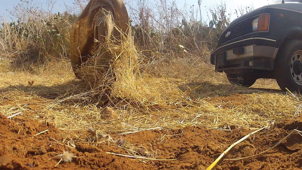 SMVB: Concealed pop up barrier for vehicles - Mifram Barriers